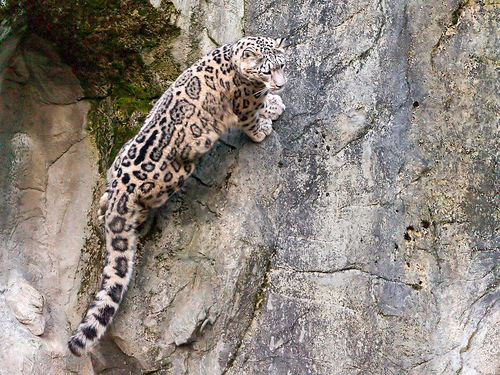 Big rocks & little rocks | Freaking Important